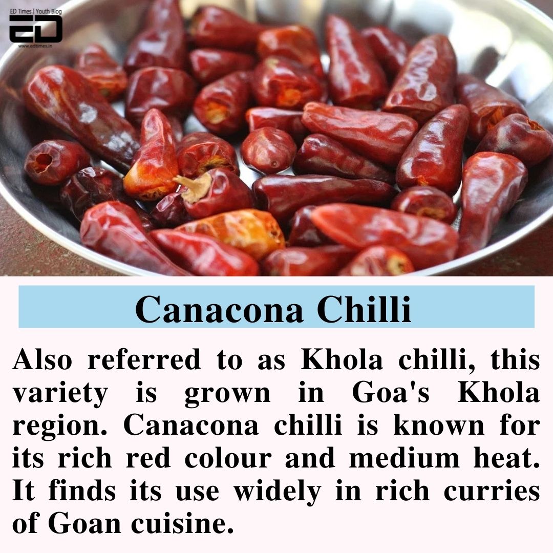 In Pics: 5 GI-Tagged Indian Chillies That Put India On The Mirchi Map