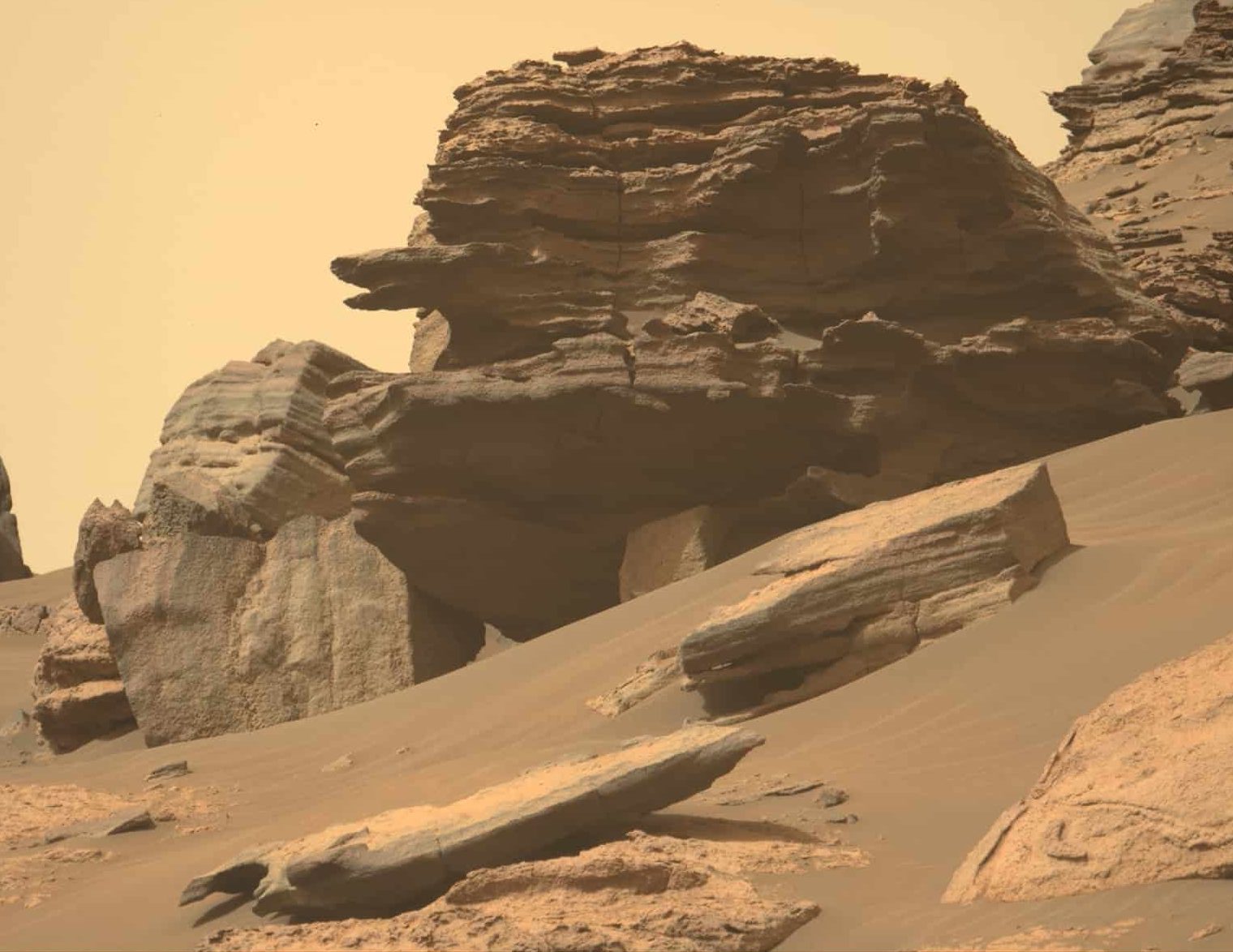There Appears To Be A 'Snake Head' Rock On Mars