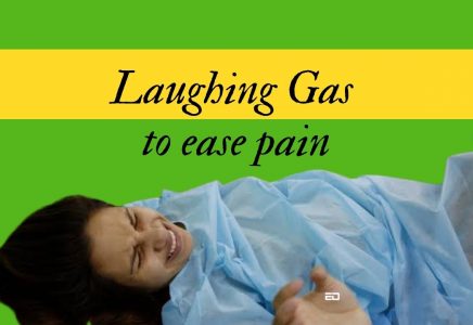 In Pics: What Are These Snow Monsters Or Juhyos Of Japan?