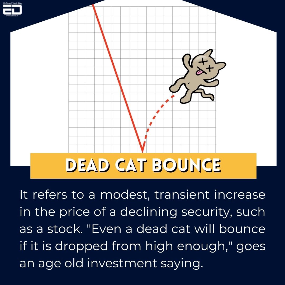 In Pics: Weird Financial Terms And Buzzwords We Bet You Didn't Know