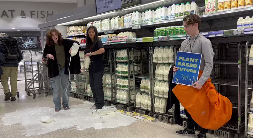 From Soup Thrown At Painting To Milk Wasted: 6 Most Absurd Protests In ...