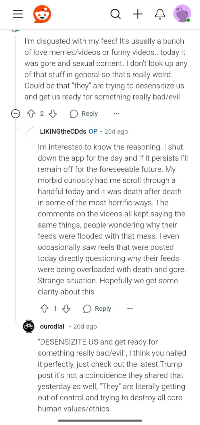 ResearchED: Why Is Instagram Showing More Sensitive And Inappropriate ...